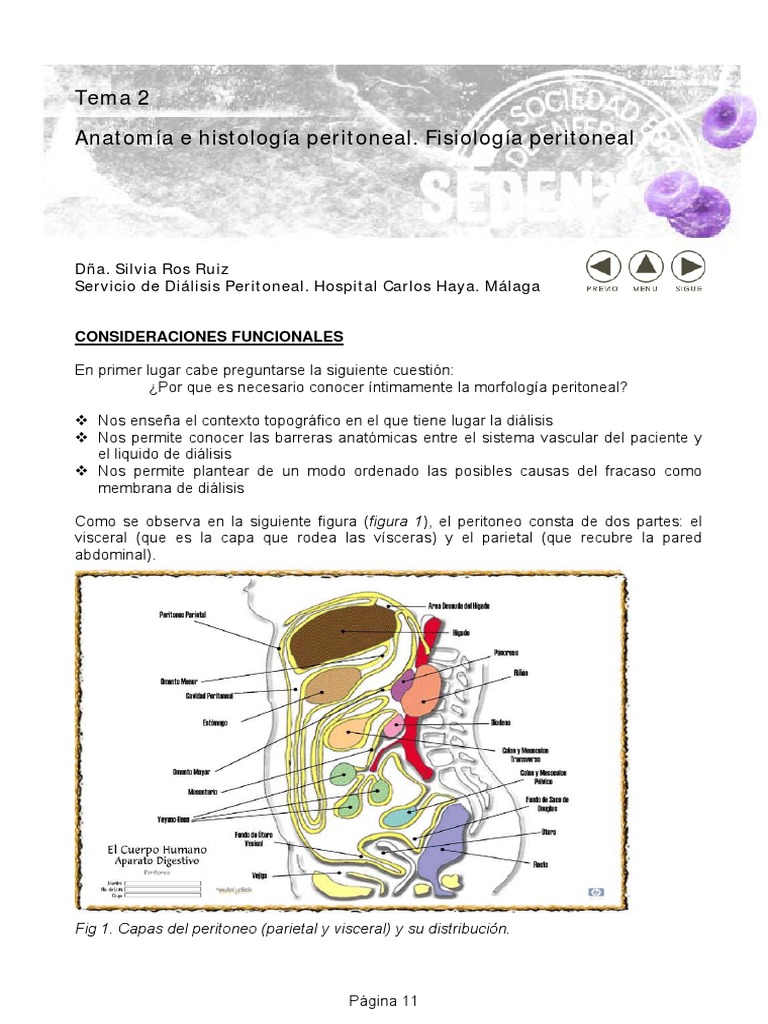 liquido peritoneal.pdf | Ósmosis | Diálisis | Prueba gratuita de 30 ...