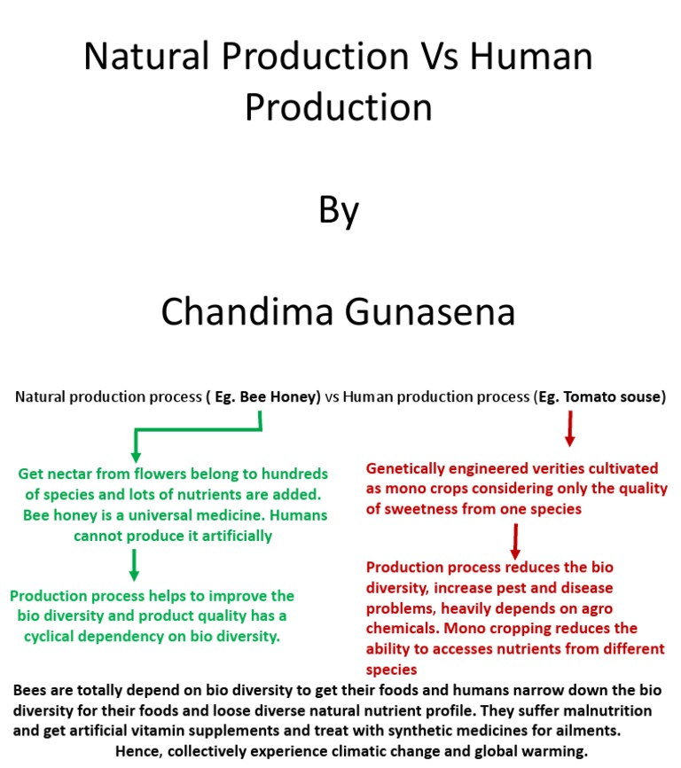 Natural Production Vs Human Production | PDF