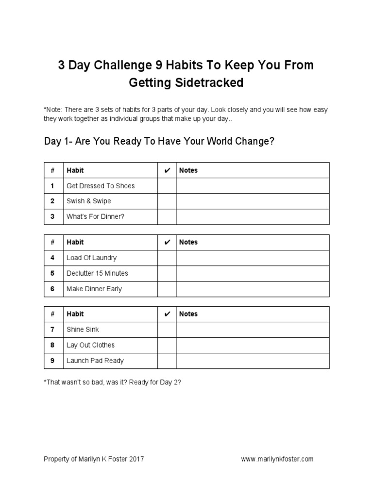 3 Day Challenge 9 Habits | PDF