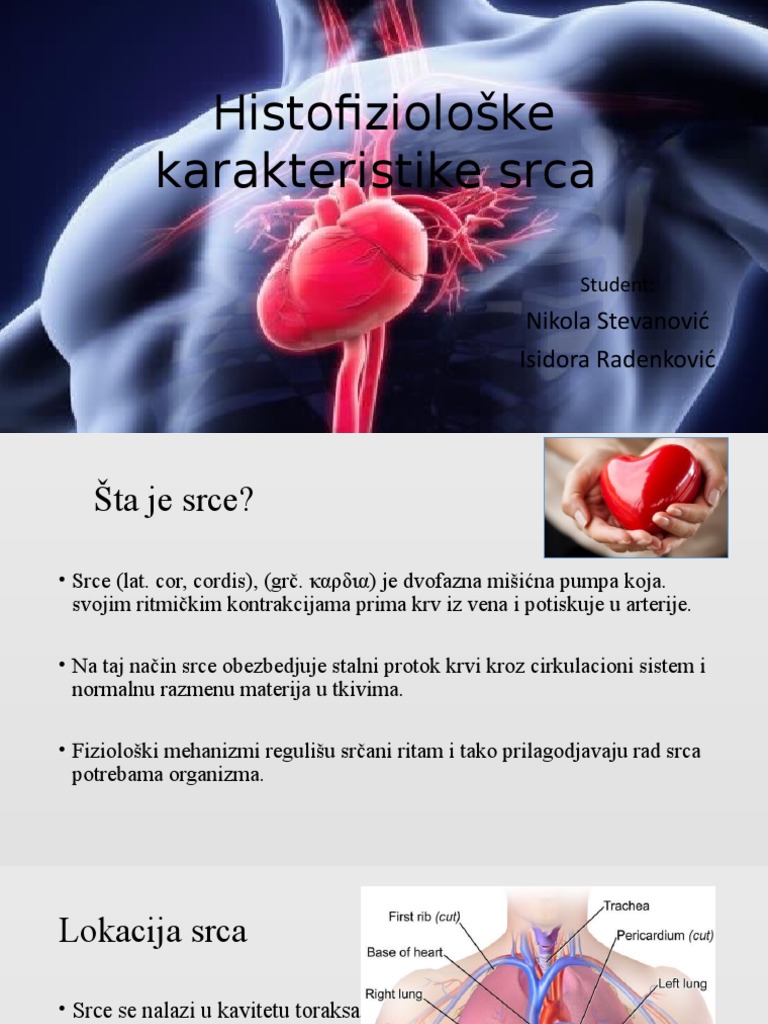 Histofizioloske Karakteistike Srca | PDF