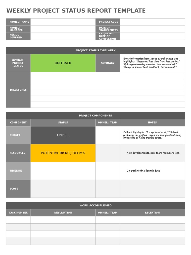 Status Report Template 04 | PDF | Business | Computing