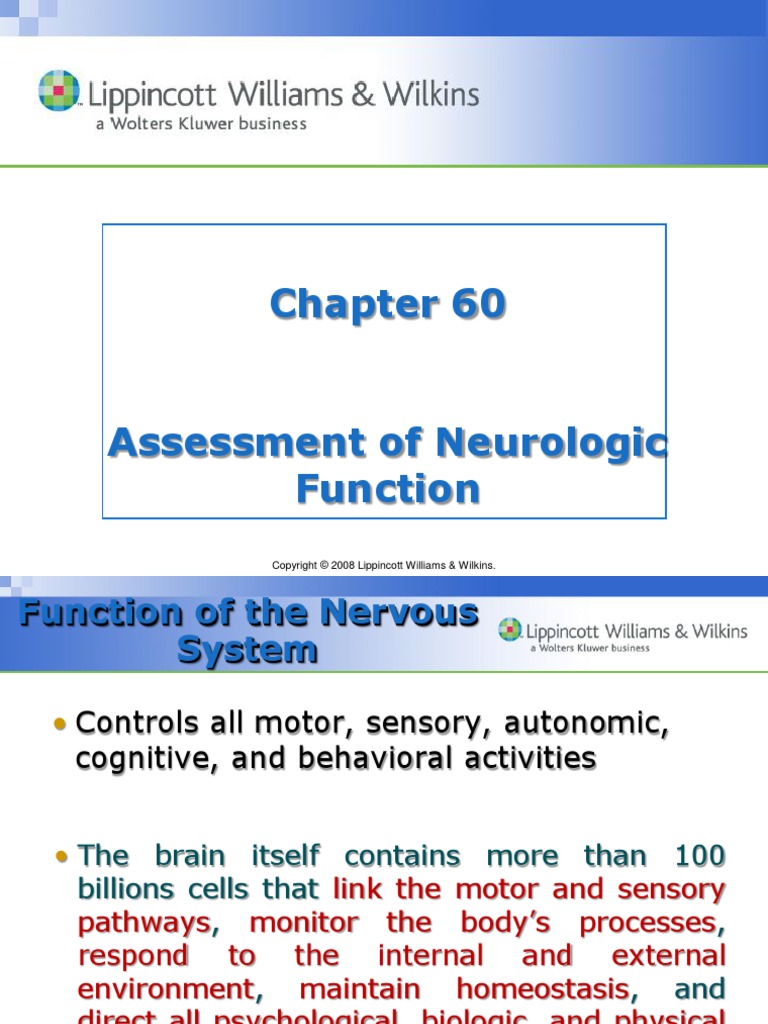 Assessment of Neurologic Function | PDF | Vertebral Column | Brainstem