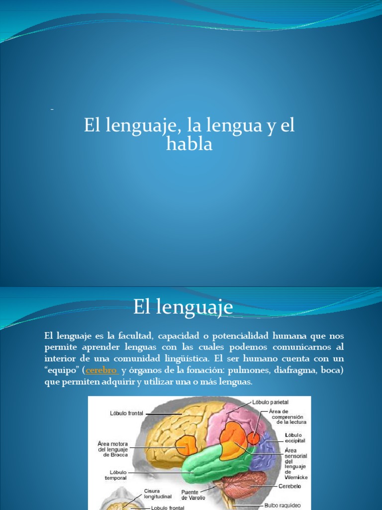 lenguaje | Habla | Lingüística