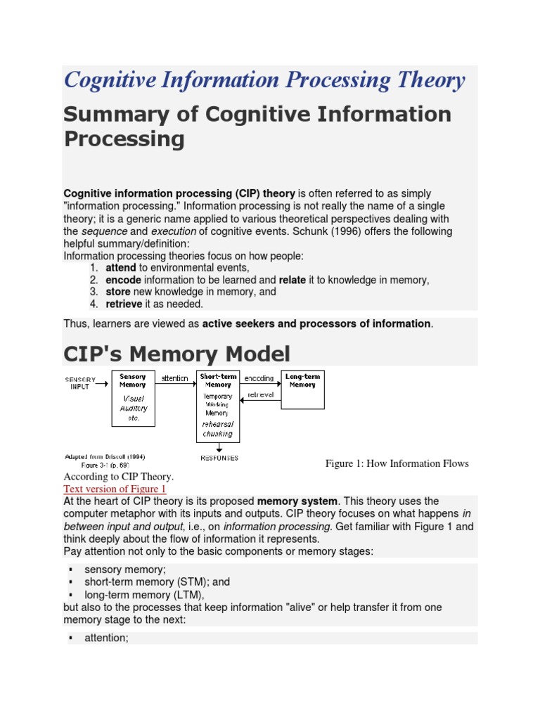 Cognitive Information Processing Theory | PDF | Information Processing ...