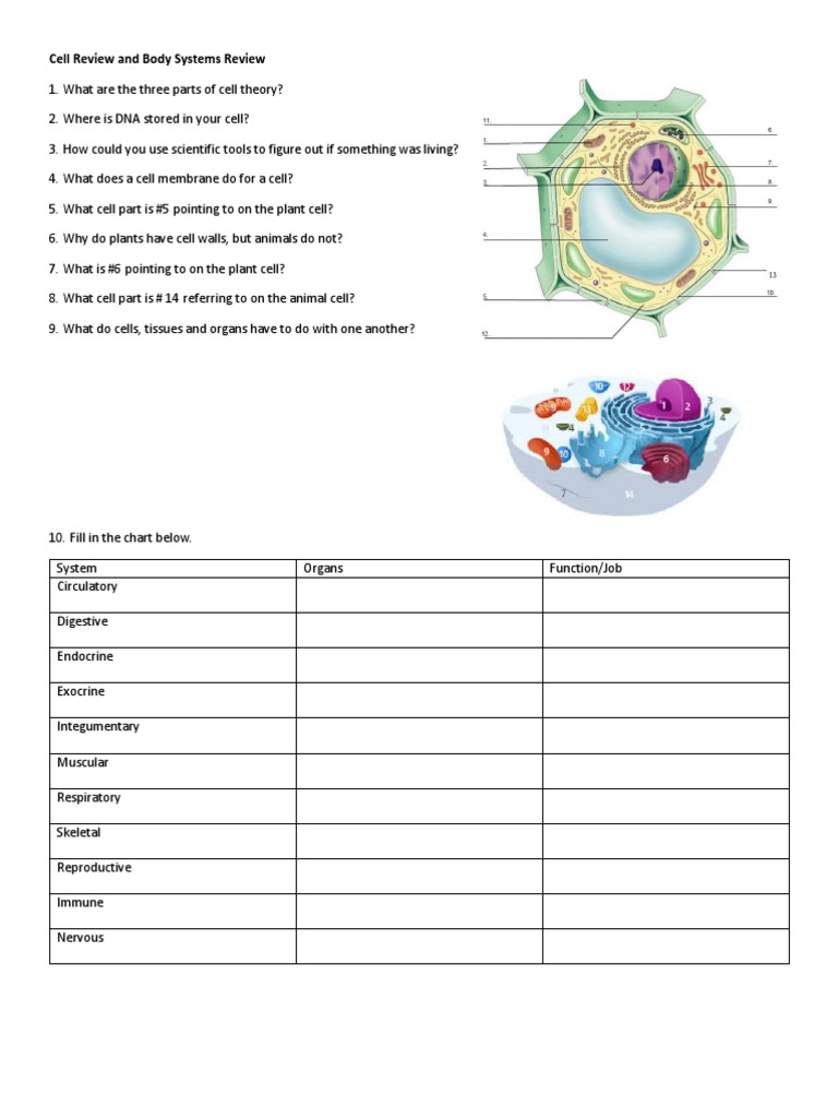 Cell Theory and Body Systems Overview | PDF
