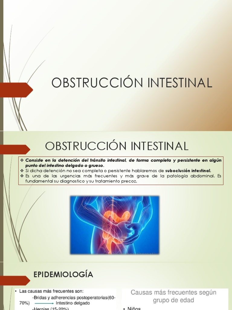 Obstrucción Intestinal | PDF | Enfermedades y trastornos humanos ...