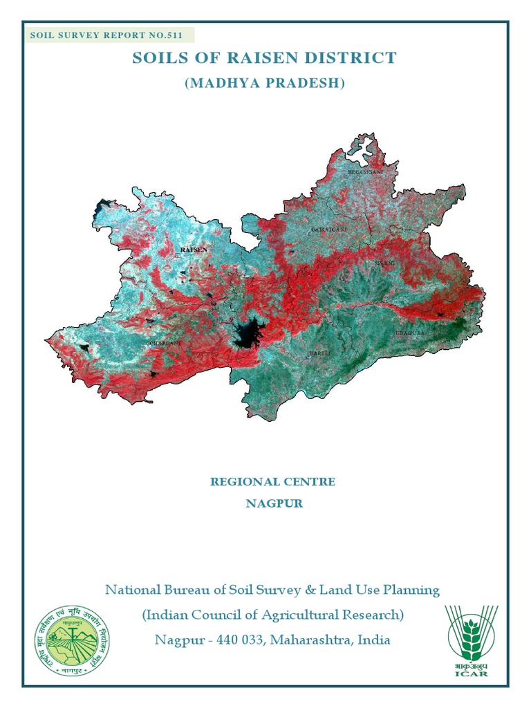 Raisen PDF | PDF | Stream | Plateau