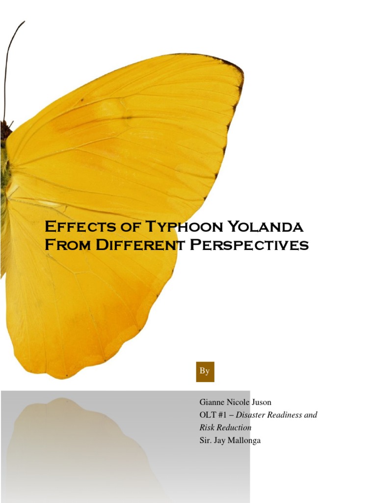 Effects of Typhoon Yolanda From Different Perspectives | PDF | Tropical ...