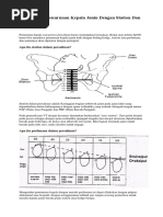 Bidang Hodge Bidang Penurunan Kepala Janin | PDF