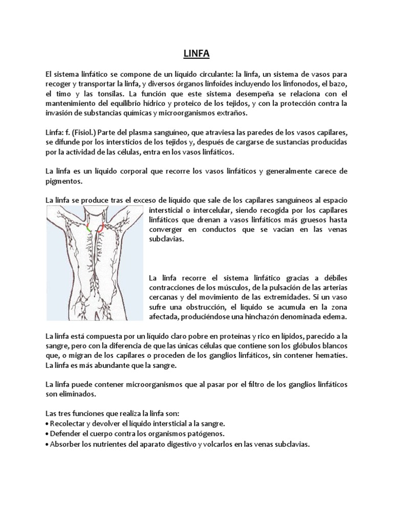 Lin Fa | PDF | Sistema linfático | Linfa