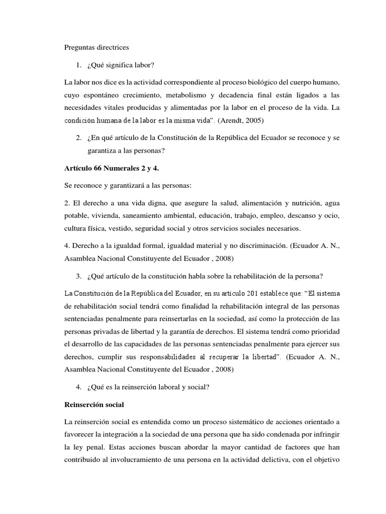 Preguntas Directrices | PDF | Derecho laboral | Ecuador