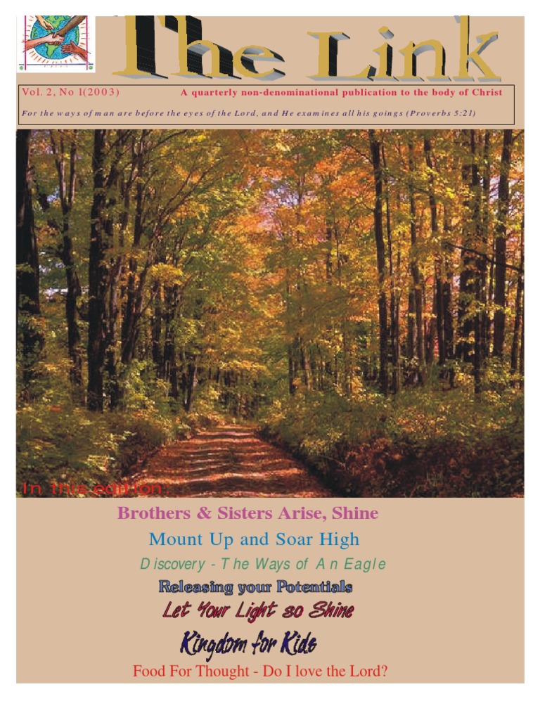 The Link Magazine (Volume 2) | PDF | Eagle | Flight