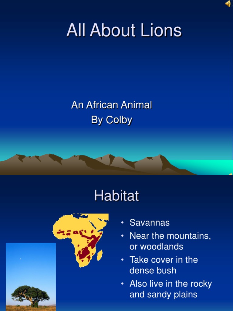 All About Lions: An African Animal by Colby | PDF