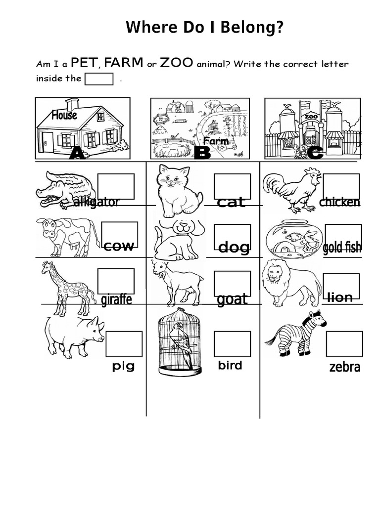 Pet Farm or Zoowild Animals - 11800 | PDF