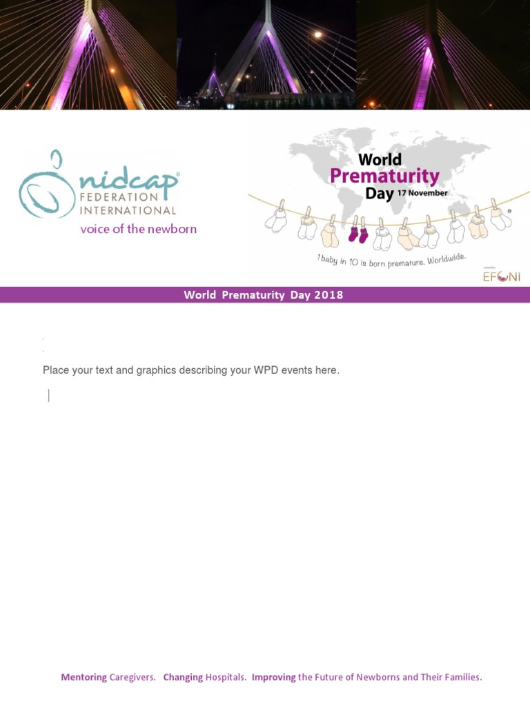 WPD Nfi Efcni Poster Template 2018 | PDF