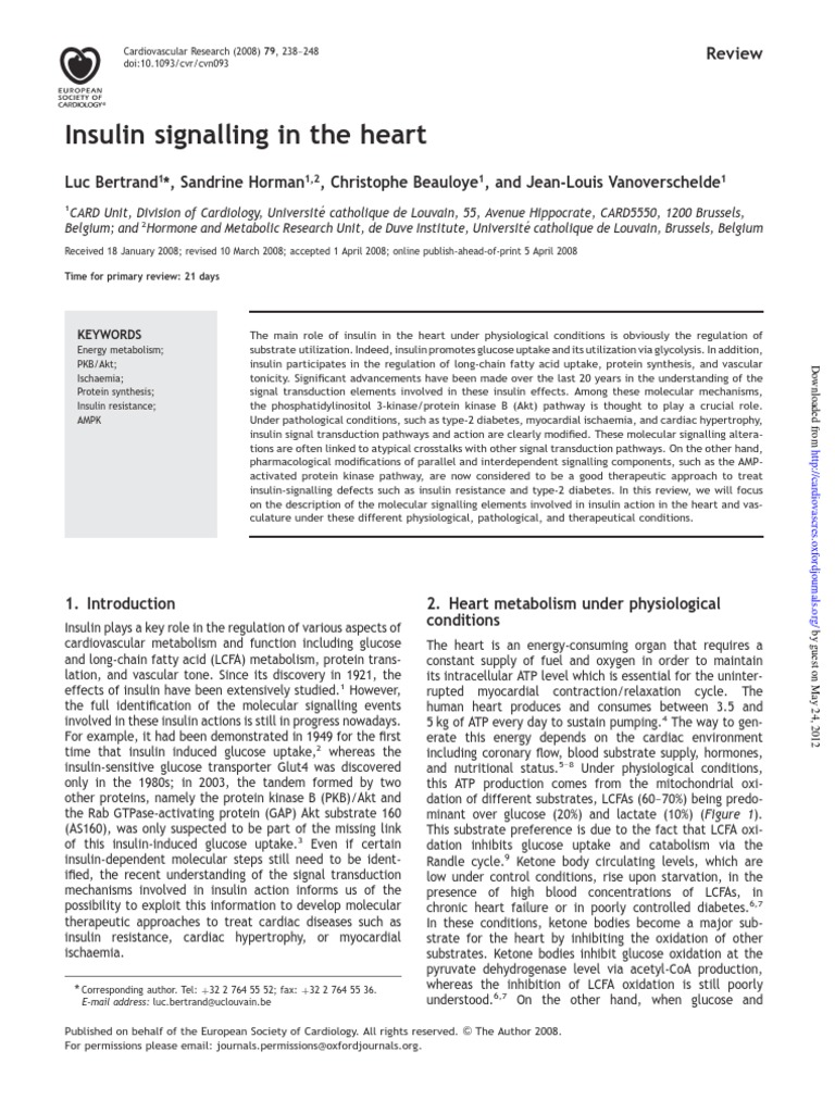 Insulin Signalling in The Heart | PDF | Protein Kinase B | Insulin