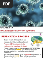 Building Macromolecules Activity - Student Handout - Updated 2020 | PDF ...