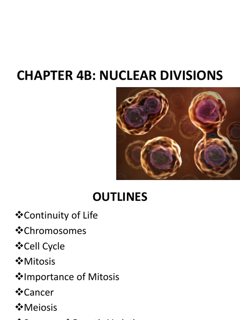 Nuclear Division: Mitosis and Meiosis Explained | PDF | Meiosis | Mitosis