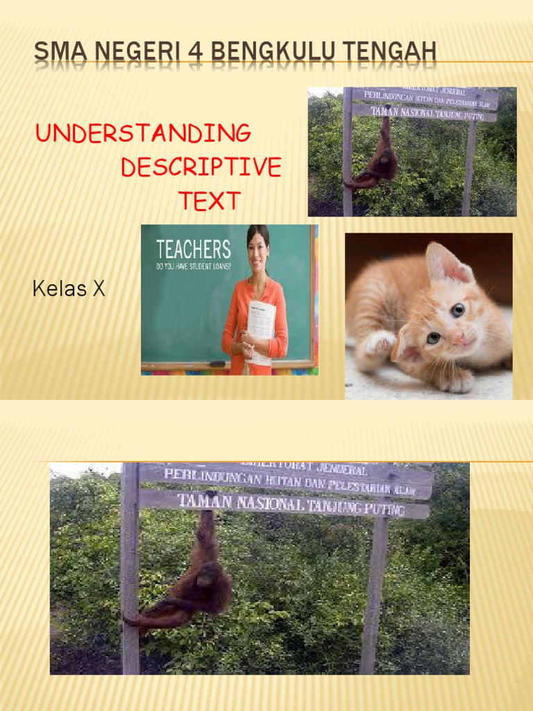 Descriptive Teks | PDF | Orangutan | Nature