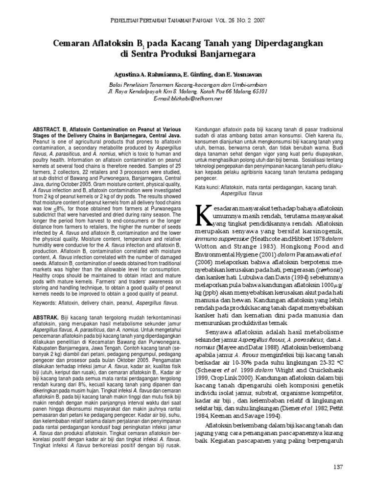 Aflatoksin Pada Kacang Tanah | PDF | Peanuts | Aspergillus