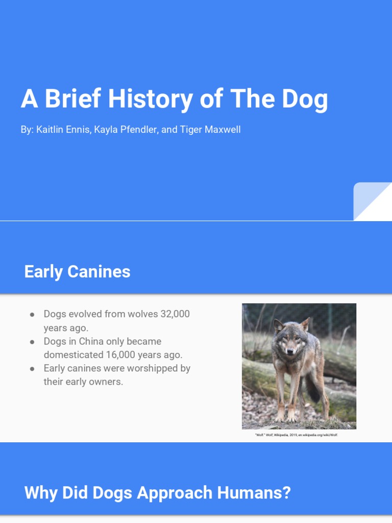 History and Evolution of Dogs | PDF | Beagle | Terriers