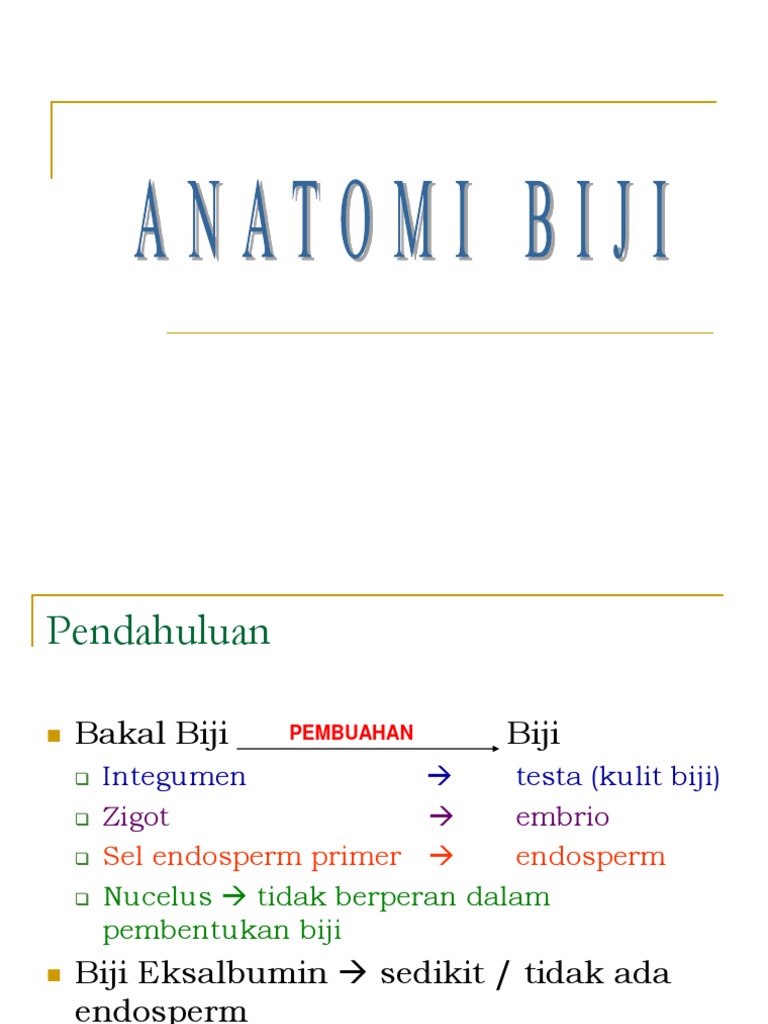 Anatomi Biji | PDF | Seed | Plants
