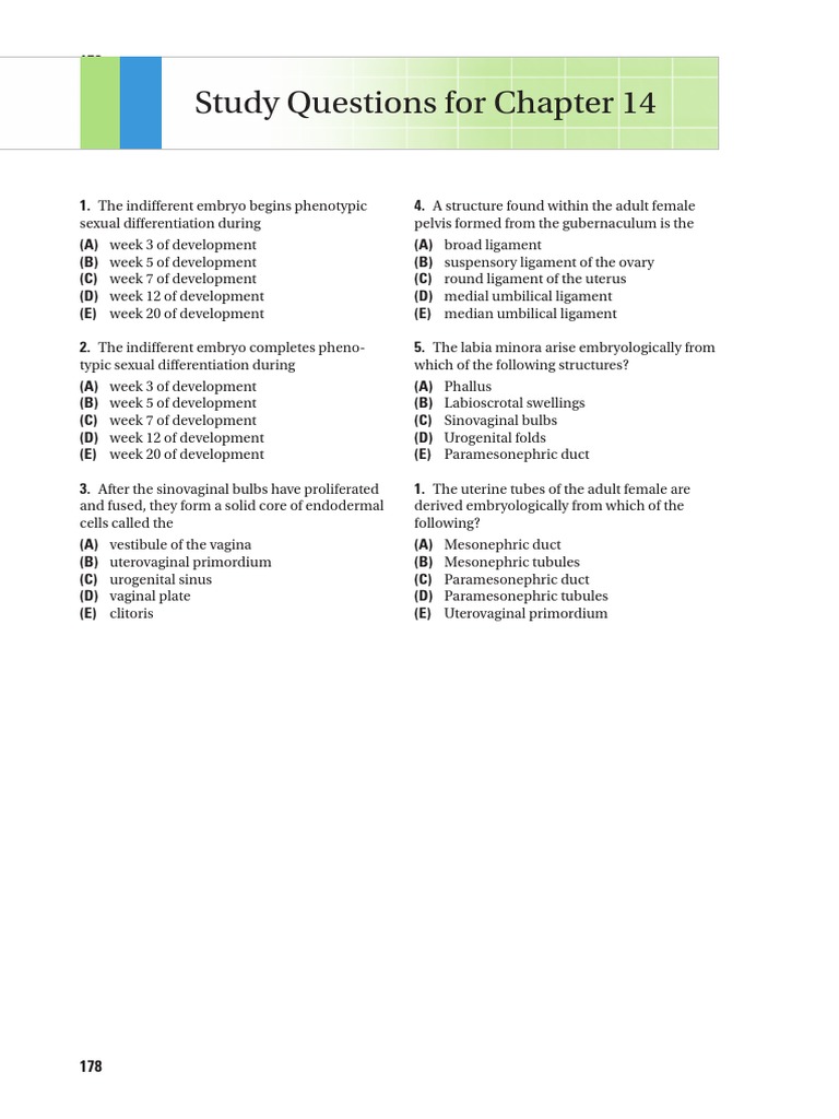 13-Female Reproductive System | PDF | Uterus | Developmental Biology