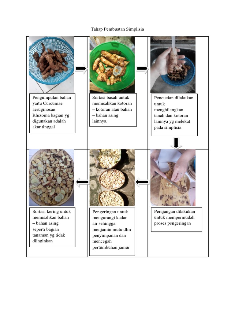 Tahap Pembuatan Simplisia | PDF