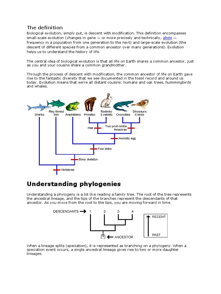 Understanding Phylogenies: The Definition | PDF | Phylogenetic Tree ...
