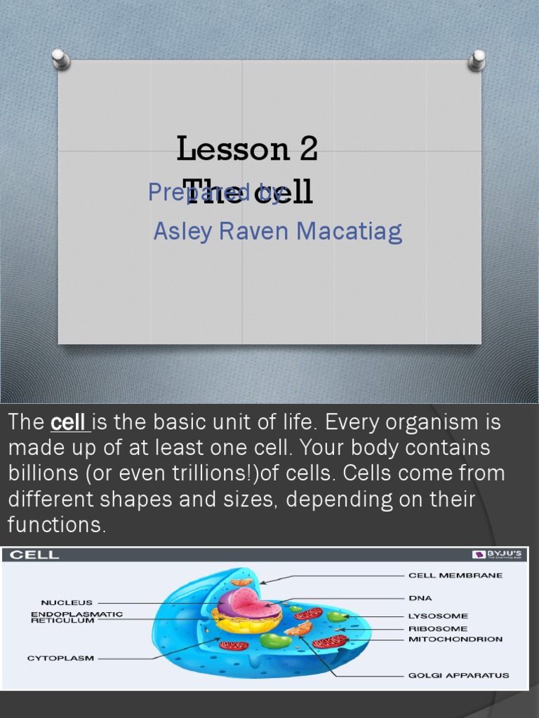Lesson 2 The Cell: Prepared By: Asley Raven Macatiag | PDF | Cell ...