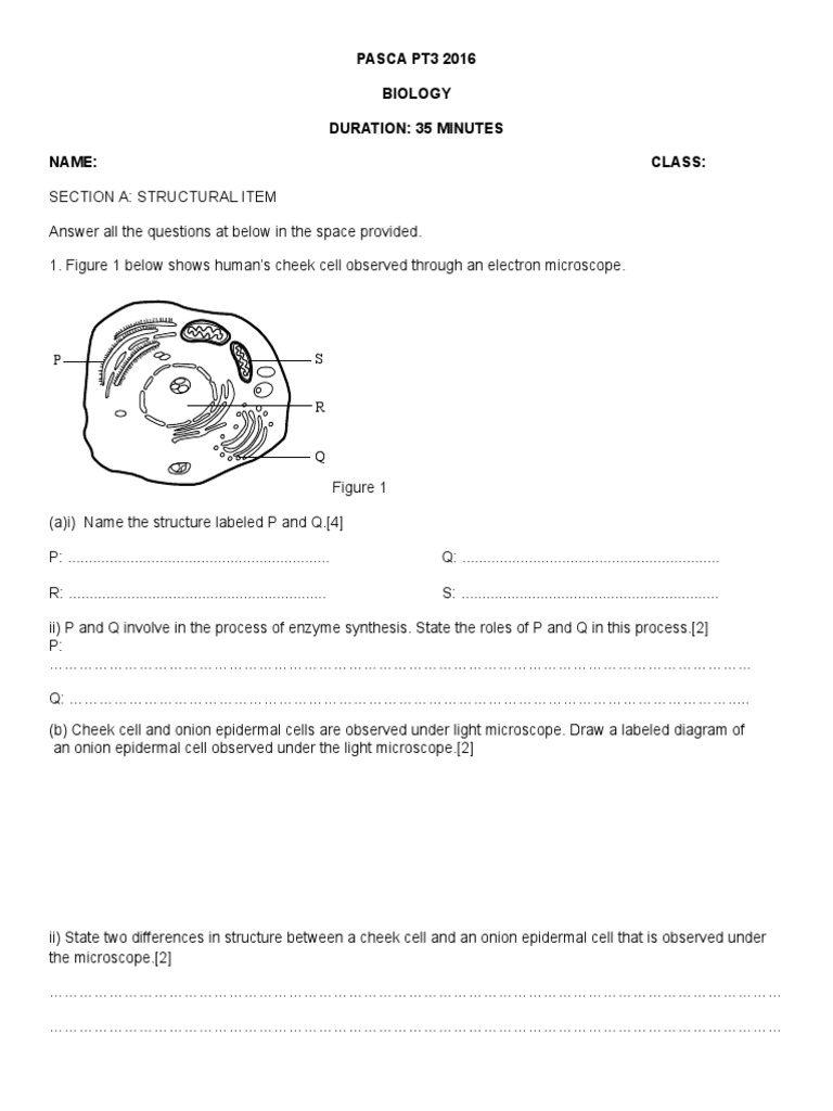 PASCA PT3 2016 BIOLOGY: Cell Structure and Function | PDF | Vacuole ...