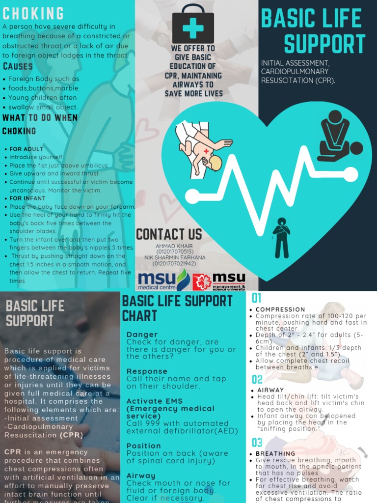 Basic Life Support | PDF | Cardiopulmonary Resuscitation | Health Care