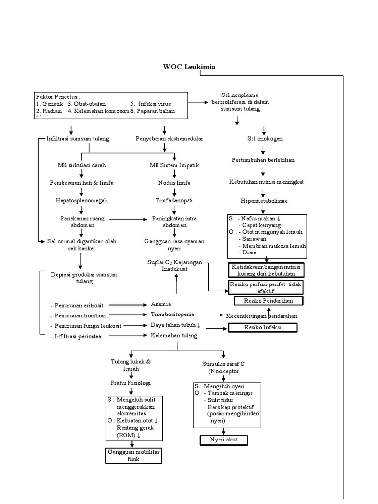 Woc Leukimia | PDF