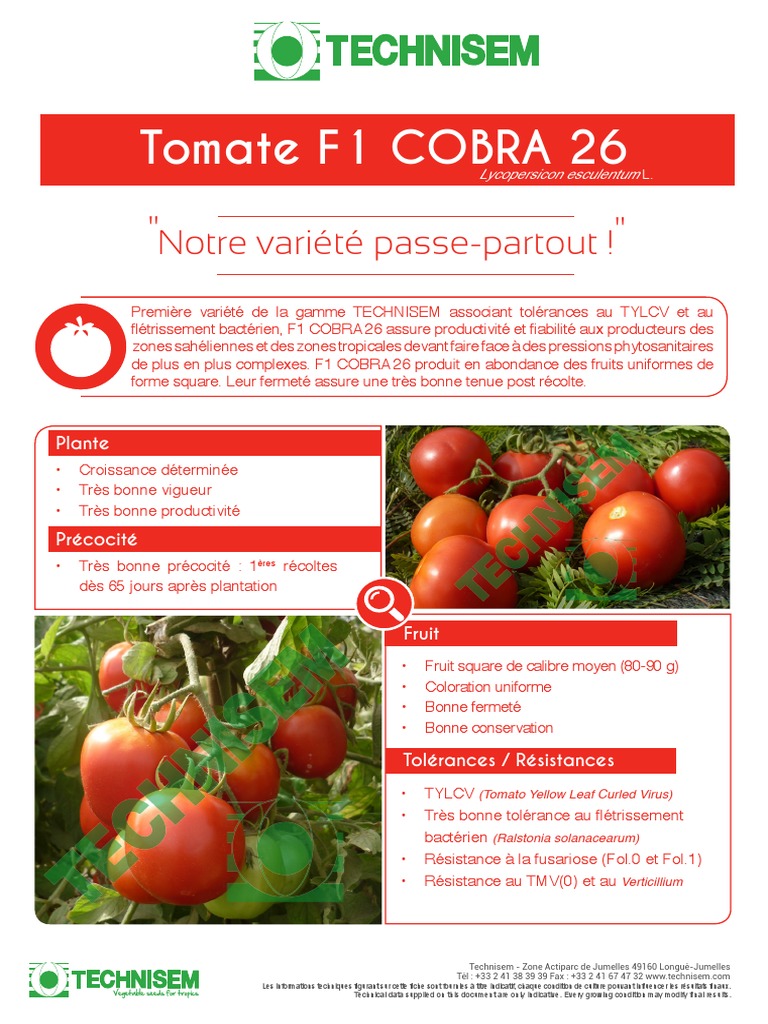 54 Cobra 26 f1 CR FR | PDF | Tomate | Botanique