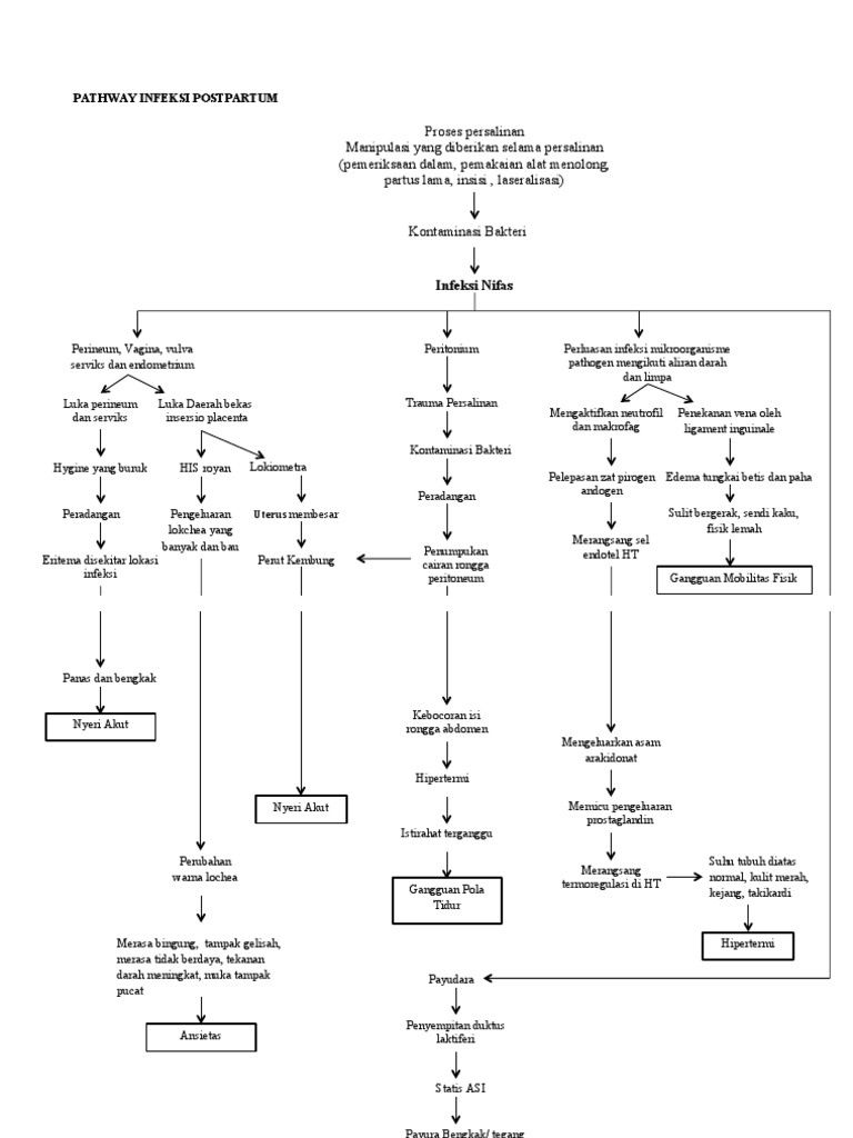 PATHOGENESIS OF POSTPARTUM INFECTION | PDF