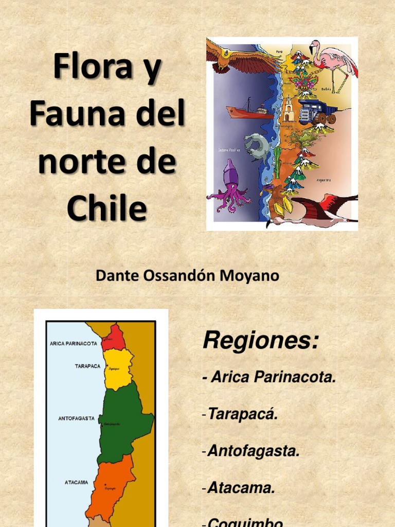 Flora y Fauna del norte de Chile: Dante Ossandón Moyano