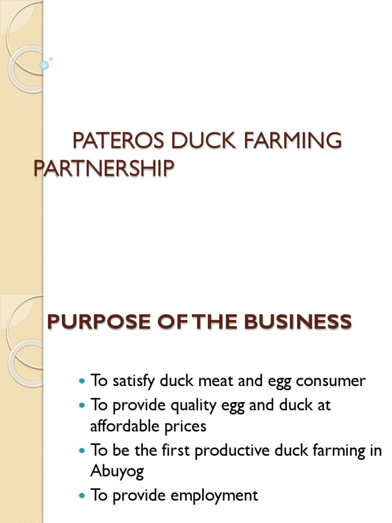 Pateros Duck Farming Partnership | PDF | Depreciation | Expense