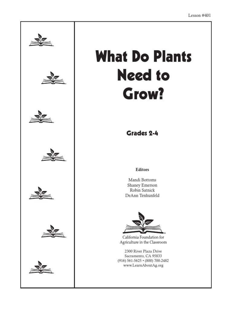 What Do Plants Need To Grow?: Grades 2-4 | PDF | Leaf | Root