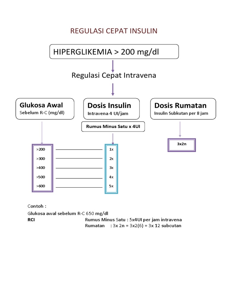 Regulasi Cepat Insulin | PDF