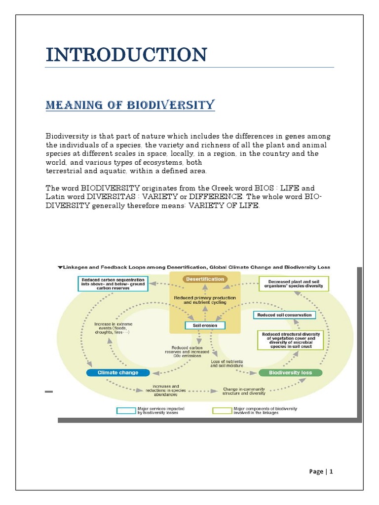 Biodiversity Project | PDF | Biodiversity | Conservation Biology