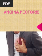 Bruce and Naughton Protocol | PDF | Physical Exercise | Cardiology