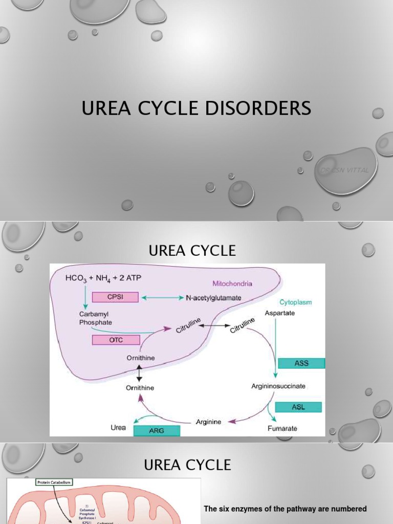 Urea Cycle Disorders: DR CSN Vittal | PDF | Clinical Medicine ...