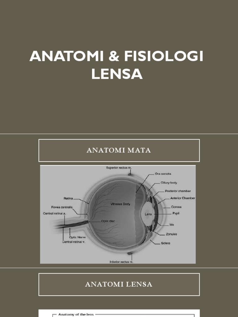 Anatomi & Fisiologi Lensa | PDF