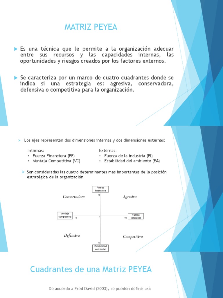 Matriz Peyea | PDF | Matriz (Matemáticas) | Vector Euclidiano