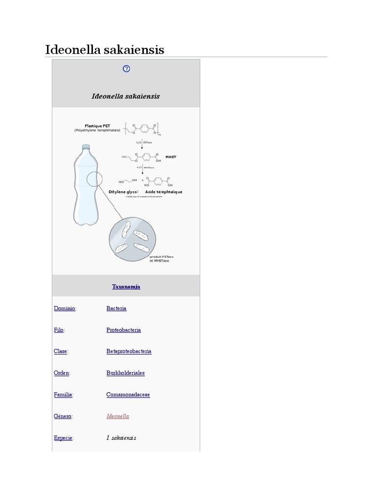 Ideonella Sakaiensis | PDF | Biología | Organismos