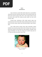 Patofisiologi Butterfly Rash | PDF