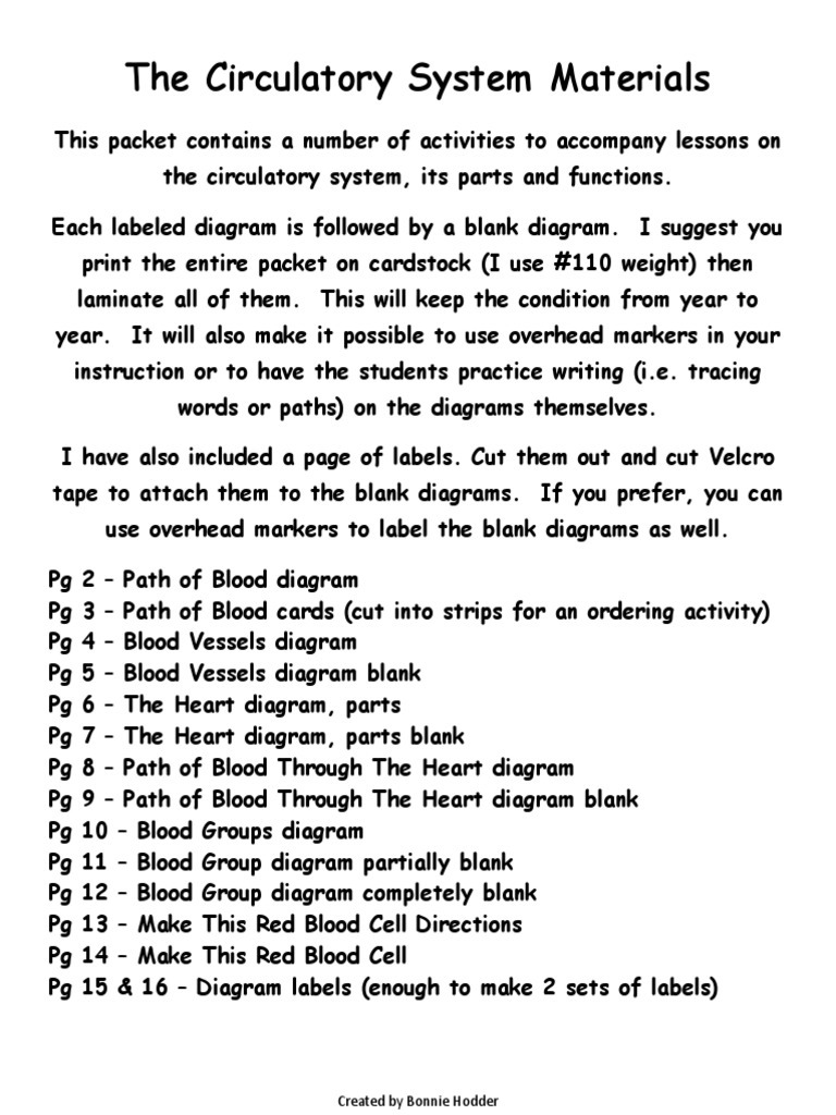 Circulatory System Materials Lesson | PDF | Vein | Artery