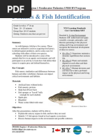 Fish Nares: Smell Mechanism Explained | PDF | Olfaction | Fish