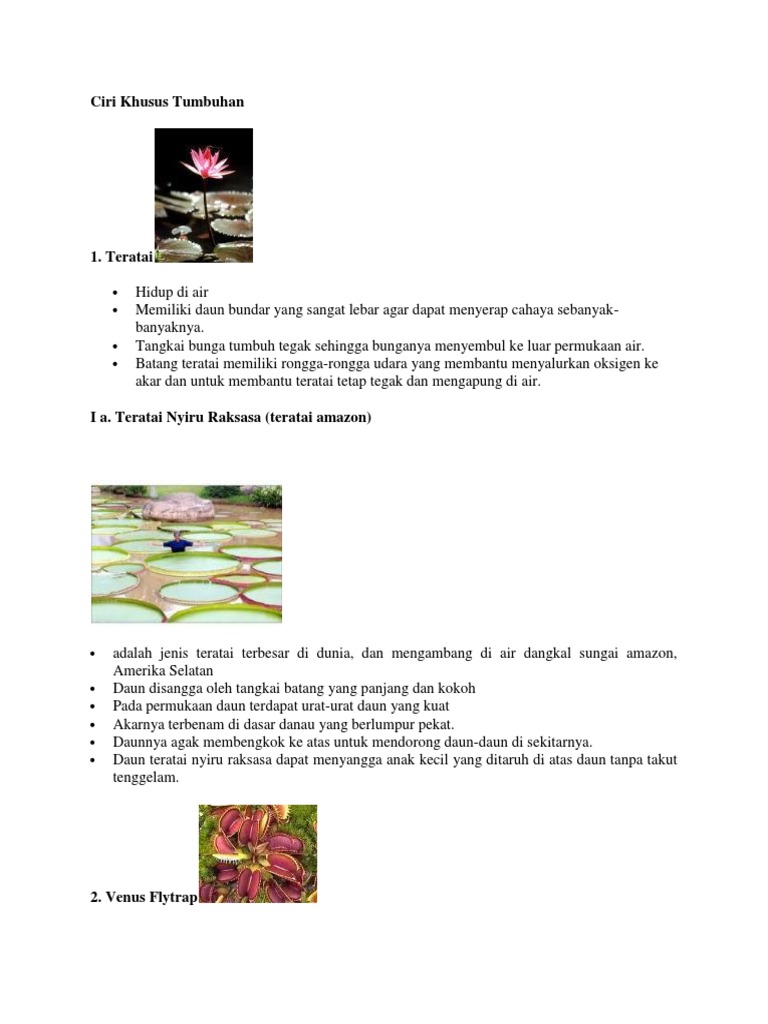 Ciri Khusus Tumbuhan | PDF