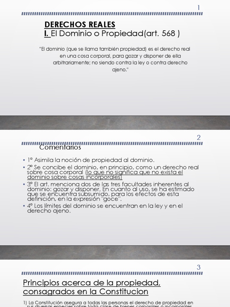 Dominio y Otros Derechos Reales | PDF | Propiedad | Condominio